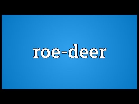 Roe-deer Meaning