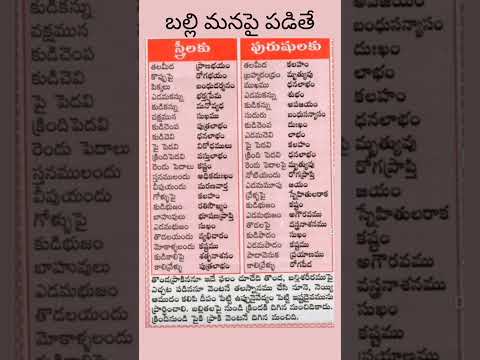 బల్లి మనపై పడితే కలుగు ఫలితాలు #తెలుగు #shorts