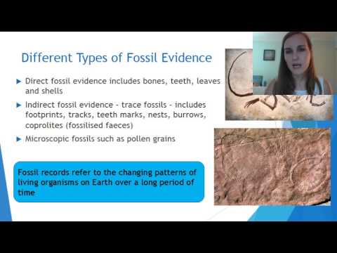 Week 1 Lesson 3: Fossil Record as Evidence for Evolution