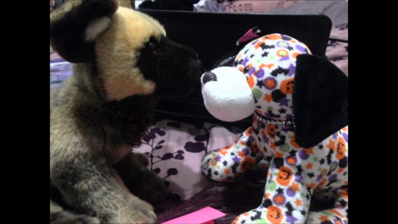 Webkinz Valentines day stopmotion