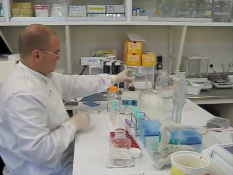 Drabek genomic DNA extractions from peripheral blood.