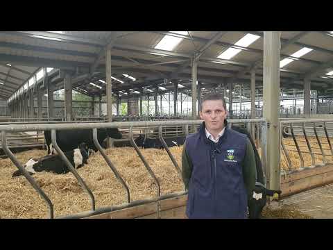 Study Animal Science at UCD