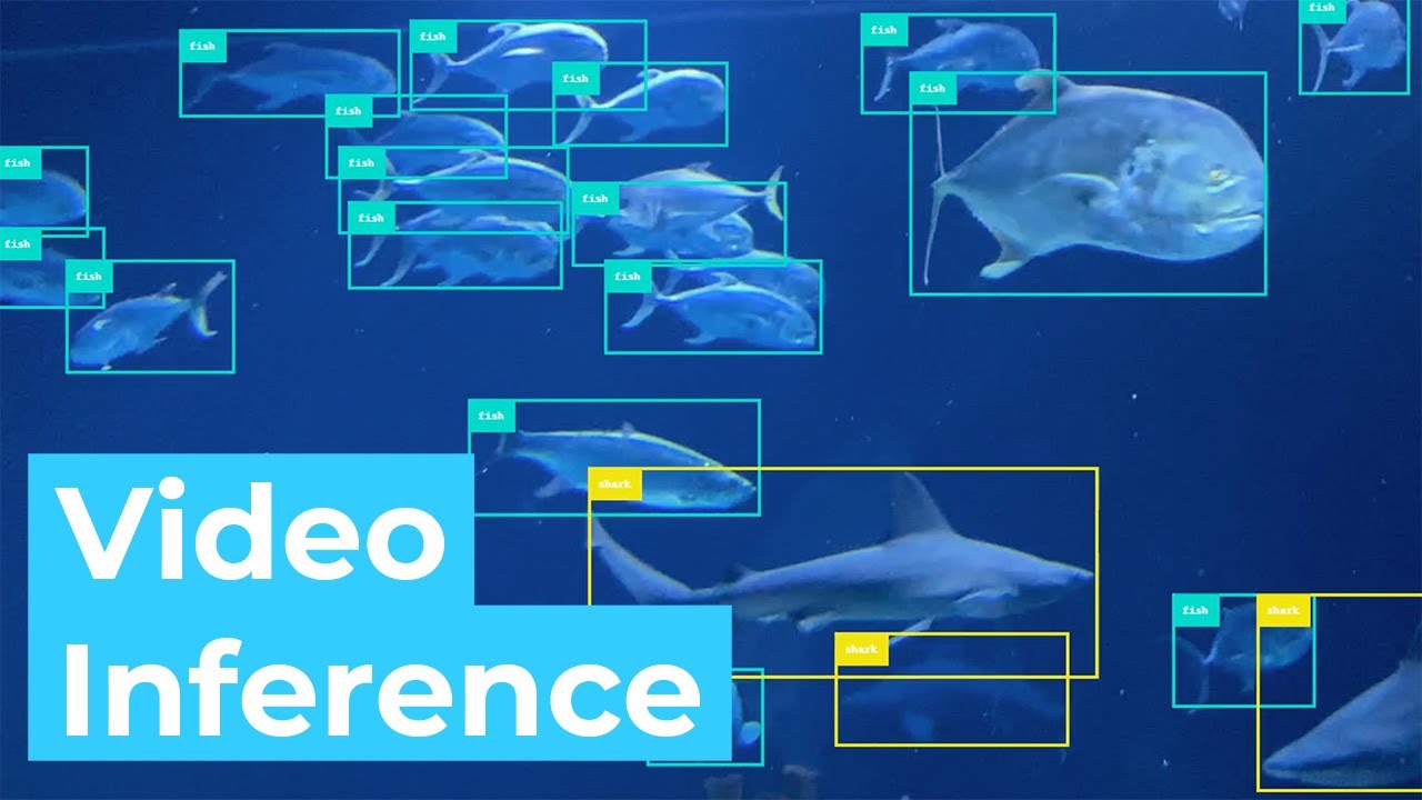 Video Inference
