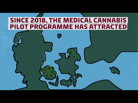 Top 5 reasons to choose Denmark for your medical cannabis adventure