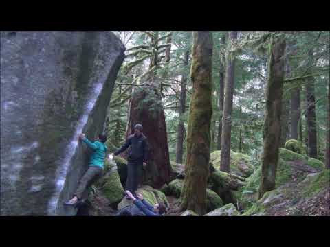 The Architect V11, Index WA. Brennan Robinson