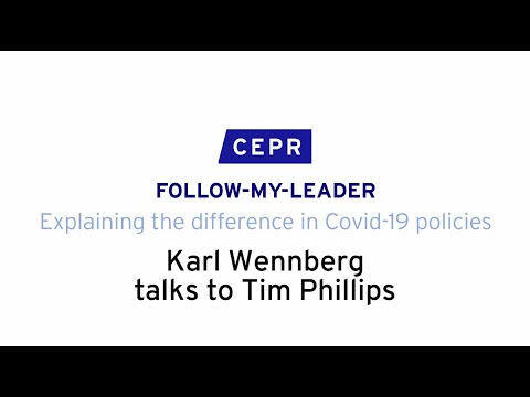 Follow-My-Leader: Explaining the Difference in Covid-19 Policies