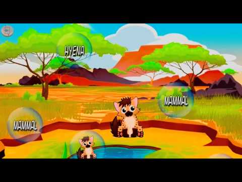 Best animal sight words learning game