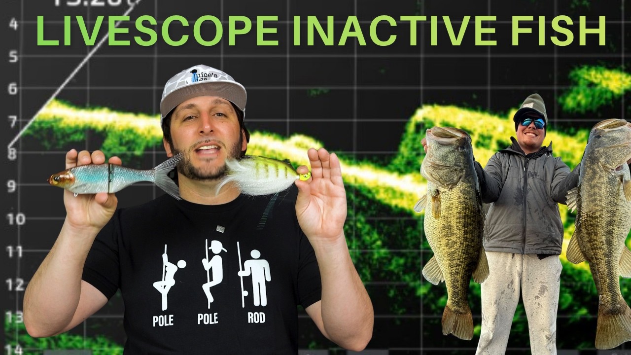 LIVESCOPE 210 - What to do if the fish won't even MOVE towards your BAIT