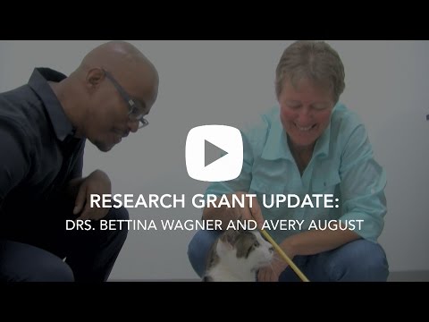 Cornell Feline Health Center 2015 Grant Updates: Drs. Avery August and Bettina Wagner