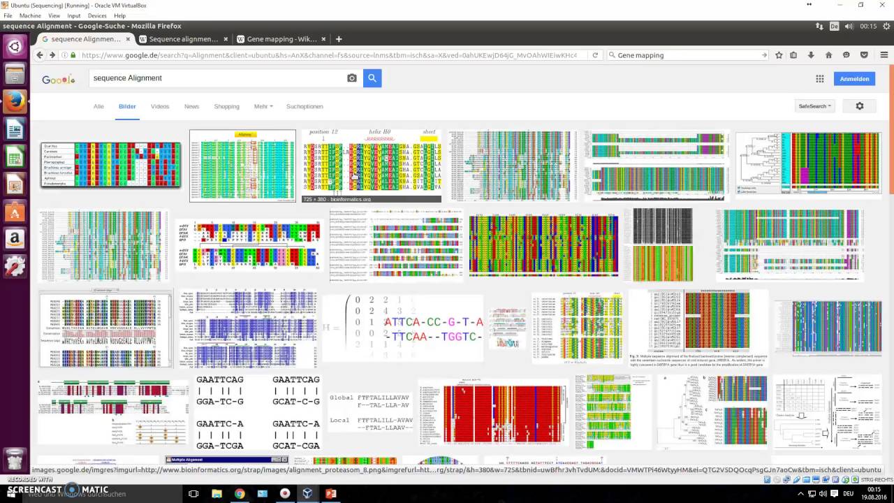 06 What is sequence alignment?