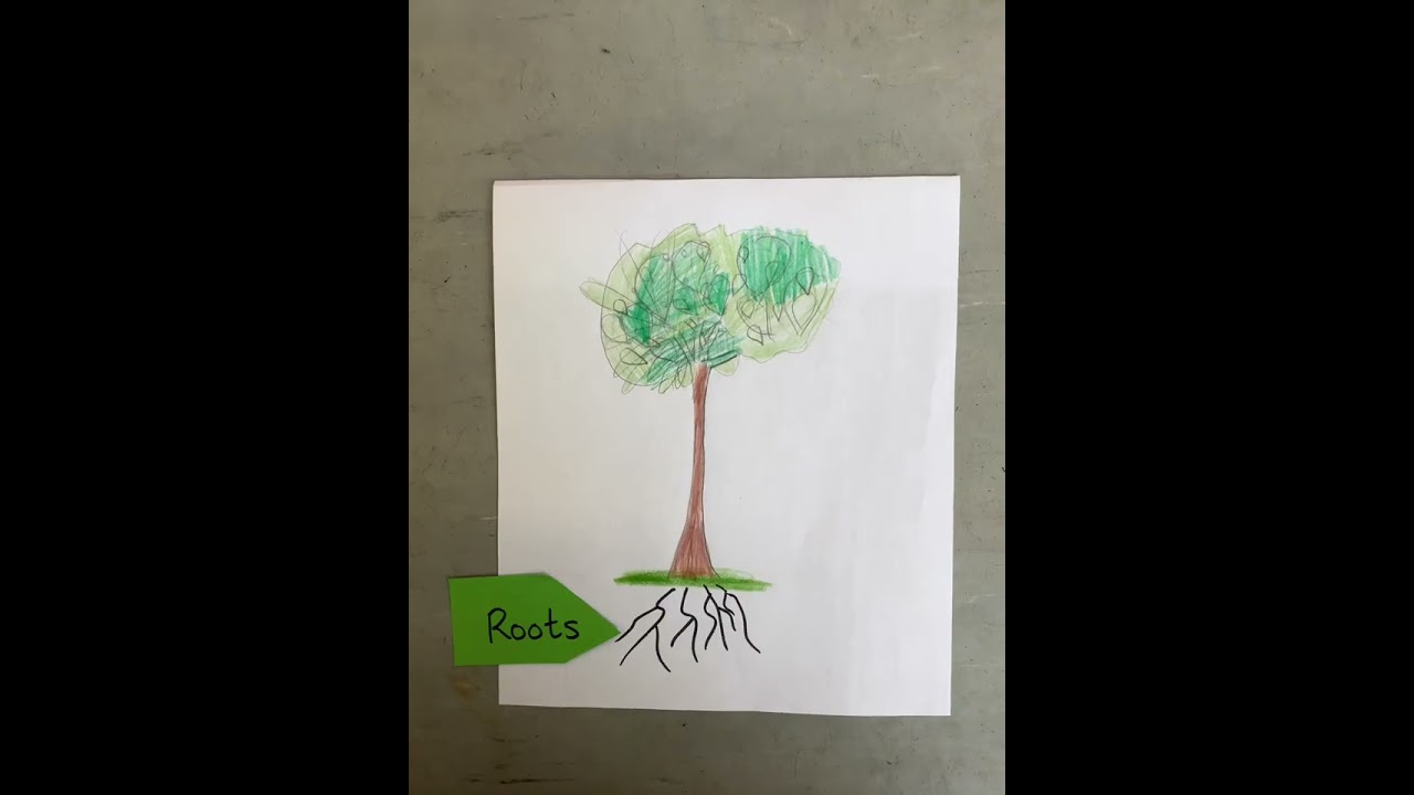 Our project on trees