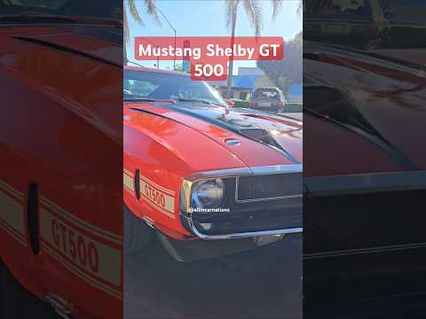 Ford Mustang Shelby GT 500 see more on my YT #bigblock #v8 #automobile #car #cars #classiccars #wow