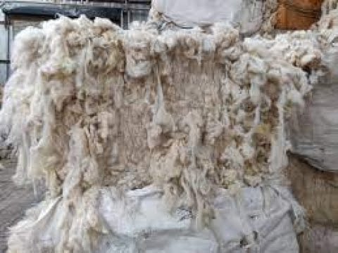 Raw Sheep Wool at Best Price in India