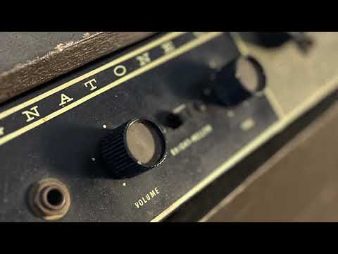 Vintage Magnatone 410 Amplifier – Professionally Serviced | Reverb
