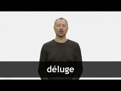 English Translation of “DÉLUGE” | Collins French-English Dictionary