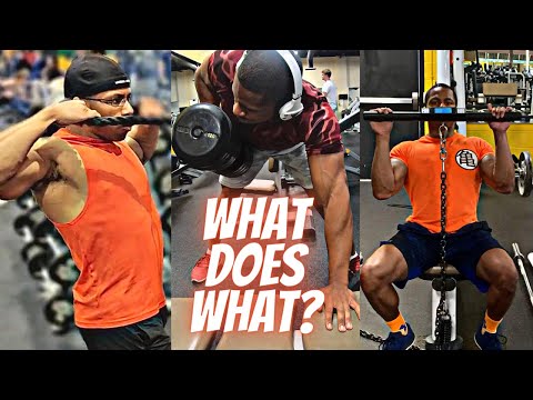 Understanding Isometric, Isokinetic, and Isotonic