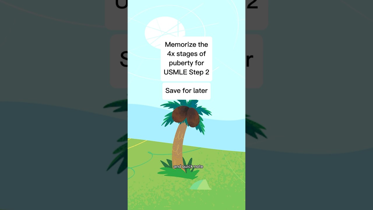 Memorize the 4 stages of puberty