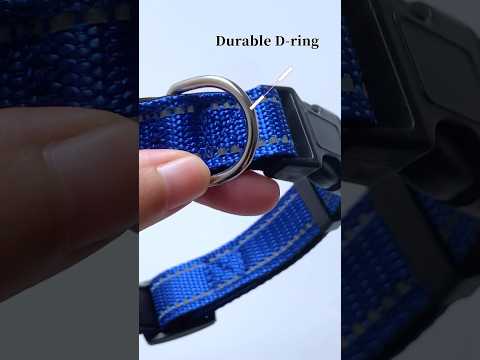 How to Adjust Reflective Dog Collars for Large Male and Female Dogs
