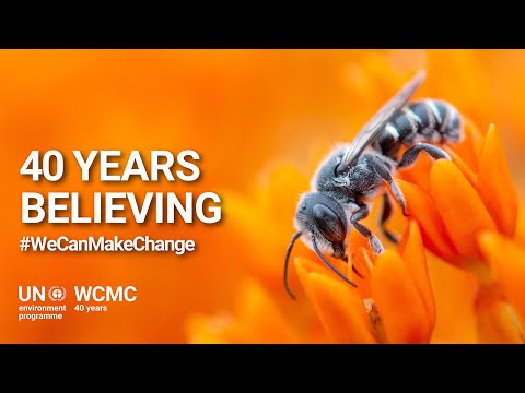 40 Years believing #WeCanMakeChange