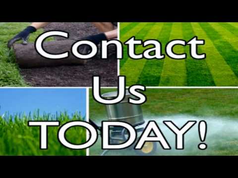 Miami Lawn Care Service and Landscaping Reviews