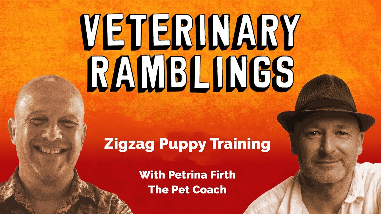Zigzag Puppy Training with Petrina Firth