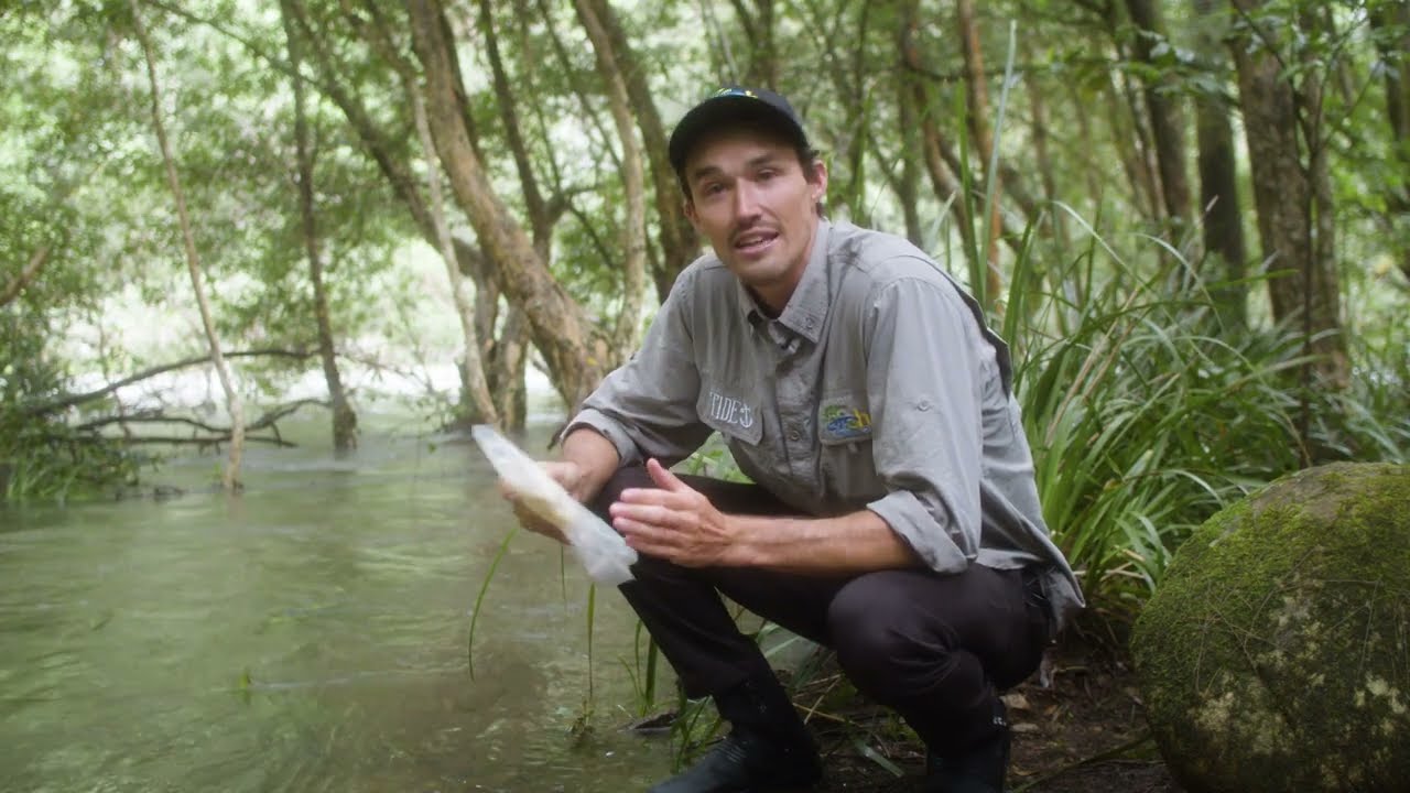 How to take an eDNA sample (Training Video 2)