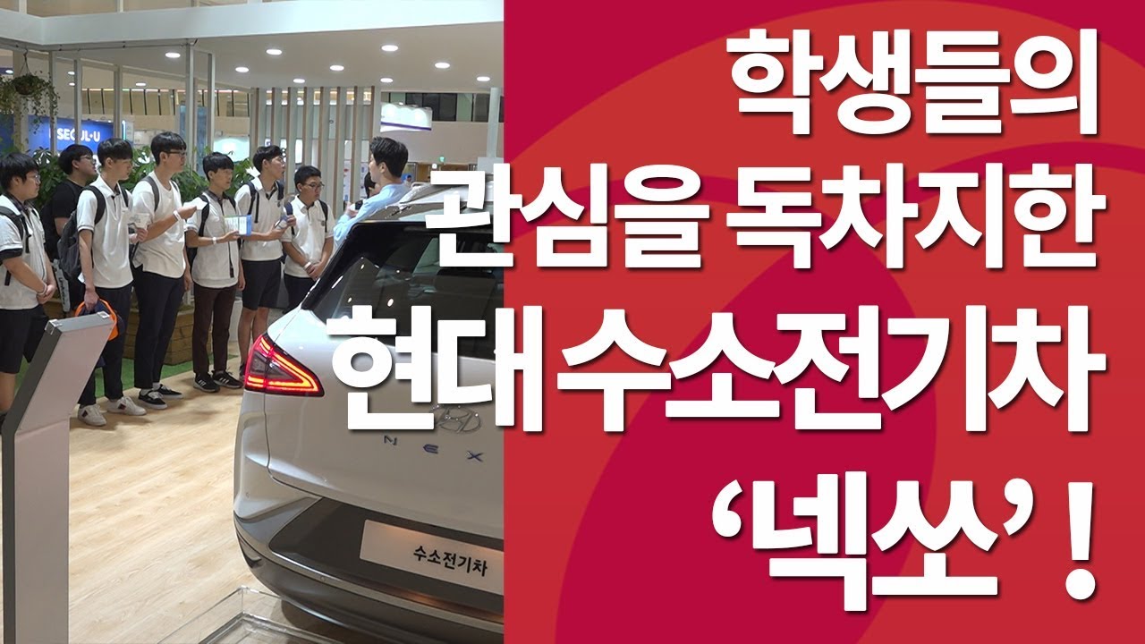 MT채널 | 영상 - 머니투데이