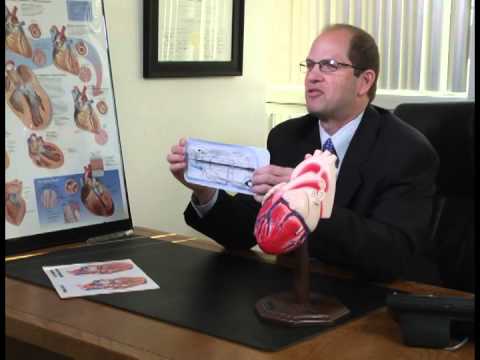 Cardiology