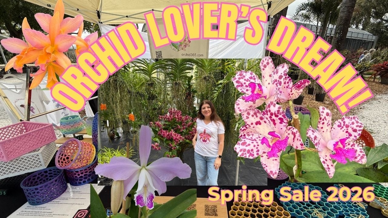Inside Palmer Orchids’ Spring Sale 2026 🌿 Rare Cattleyas, Orchid Vendors & Orchid Lover’s Paradise