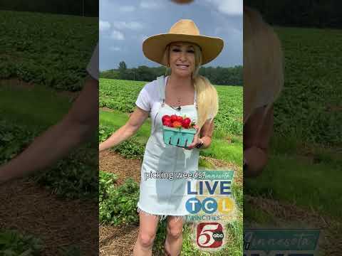 Reporter Kristin Haubrich takes us to Becky's Berries in St. Francis!