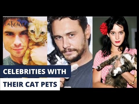 Celebrities With Their Cat Pets 😻 | Famous Cat Owners | Celebrity Felines | Cat-Loving Celebs