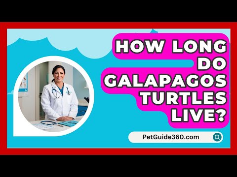 How Long Do Galapagos Turtles Live? - PetGuide360.com