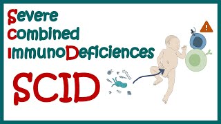 SCID (Severe combined immunodeficiency) || symptoms and immunolog ...