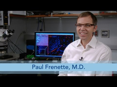 Science Talk: Nerves Play Key Role in Triggering Prostate Cancer and Influencing its Spread