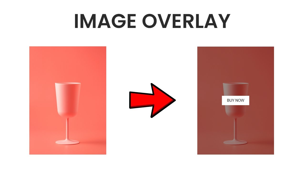 Image Overlay Effect CSS | HTML