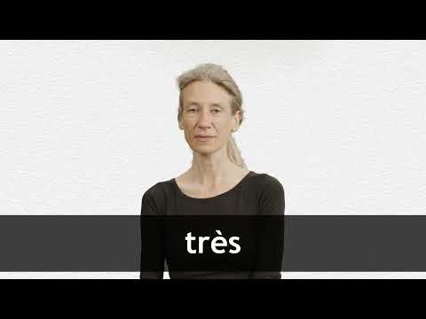 English Translation of “TRÈS” | Collins French-English Dictionary English Translation of “TRÈS” | Collins French-English Dictionary