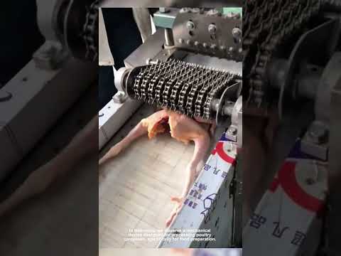 Automated Machinery in the Poultry Processing Industry