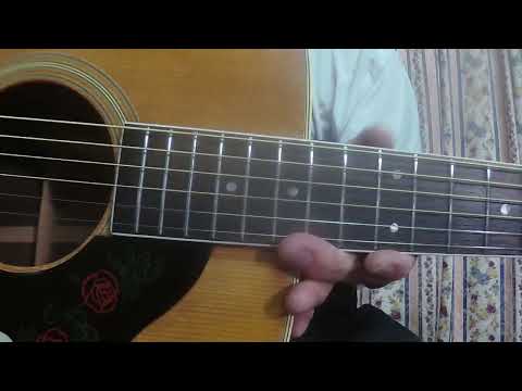 Takamine Elite TW-40 Brazilian Rosewood Dreadnought Size | Reverb