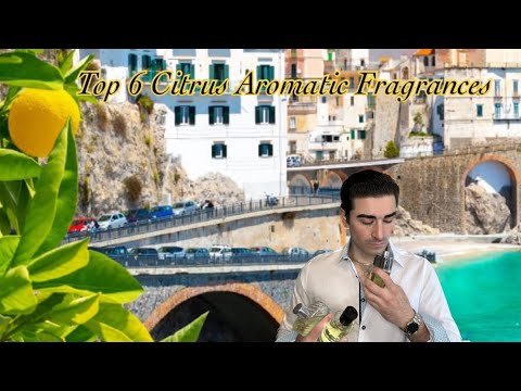 Top 6 Citrus Aromatic Fragrances For Men