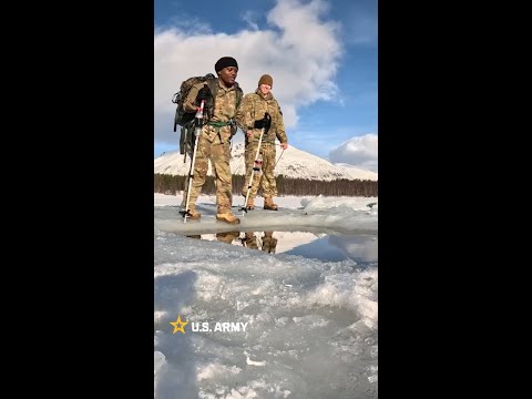 Are you brave enough for an Arctic plunge? #viralvideo #shortvideo