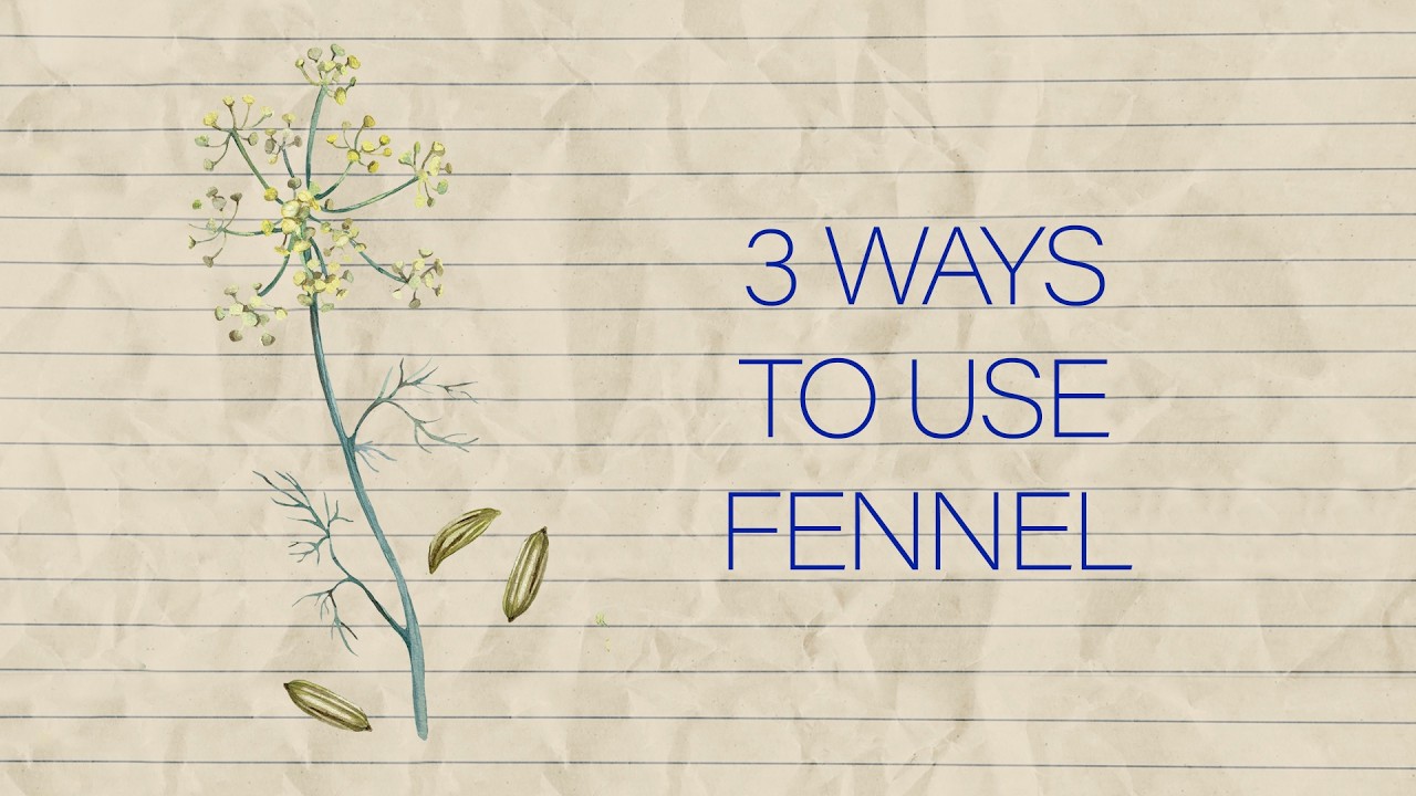 Herb Notes: The Benefits of Fennel