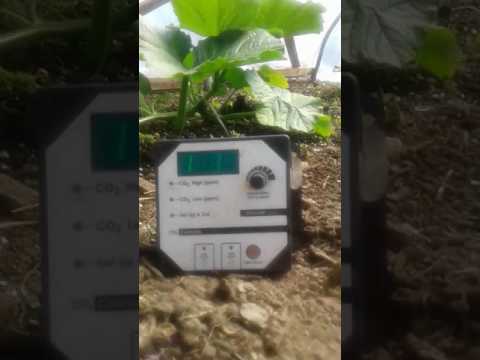 Co2 generator after 1/2 hour.