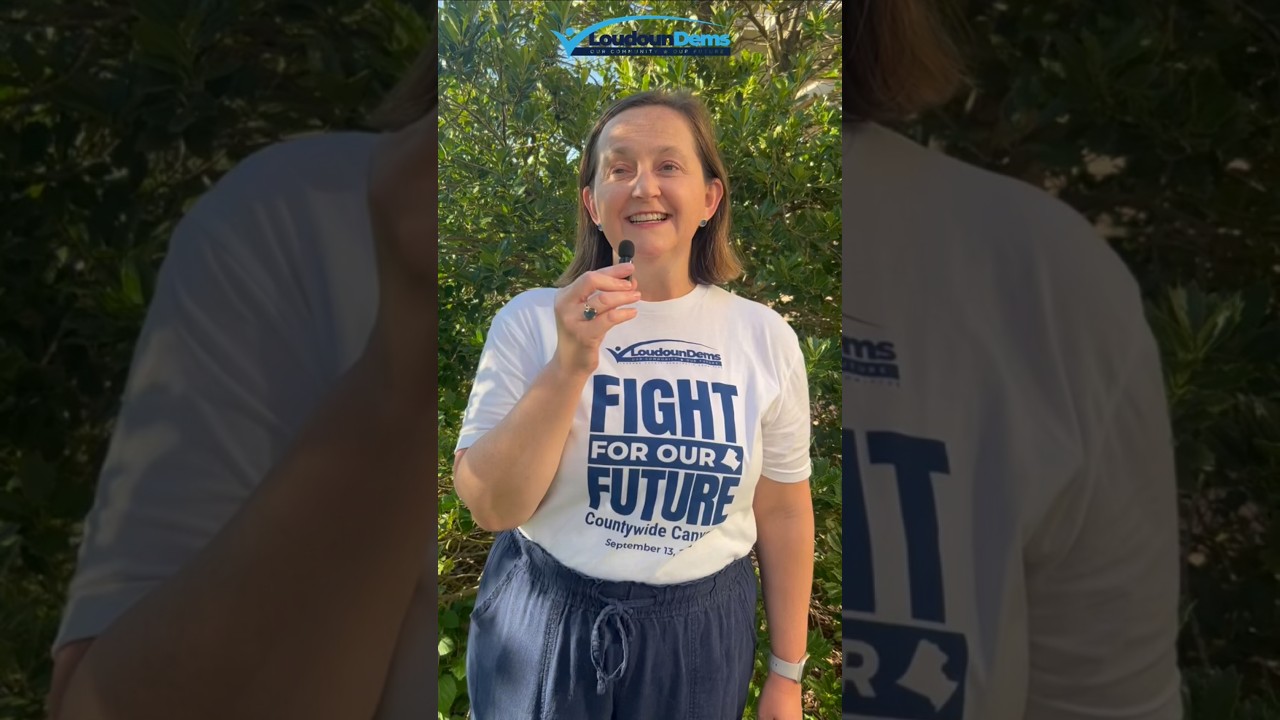 Help hand out sample ballots - 2025