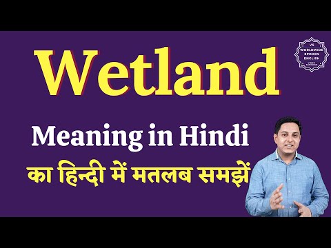 Wetland meaning in Hindi | Wetland ka matlab kya hota hai | English to hindi