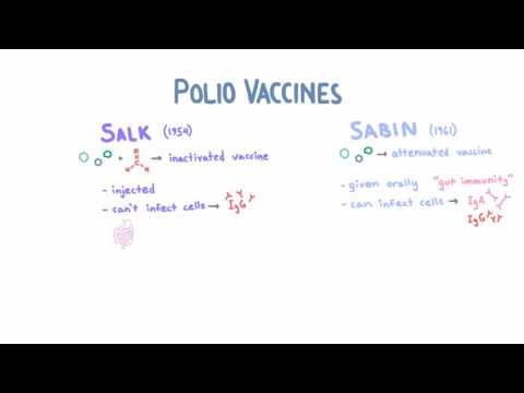 Polio Vaccines - Salk vs Sabin