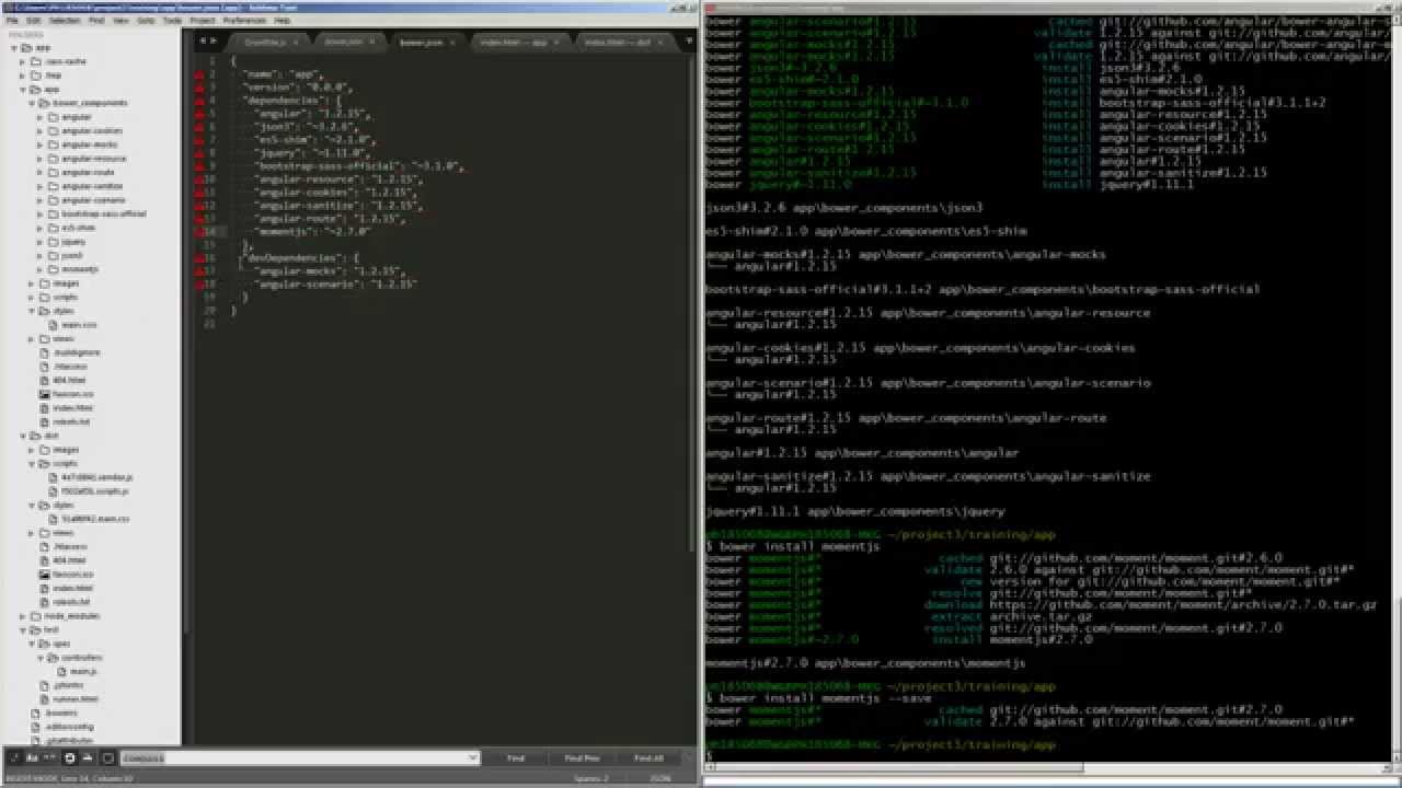 Bower - Angular Build 5