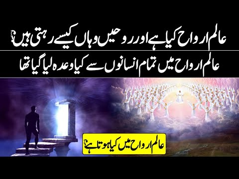 What is Alam e Arwah | Alam e Arwah Kya Hai | Alam e Arwah Ki Haqeeqat | infoio