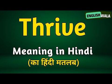 Thrive meaning in hindi | Thrive matlab kya hota hai | Thrive explained