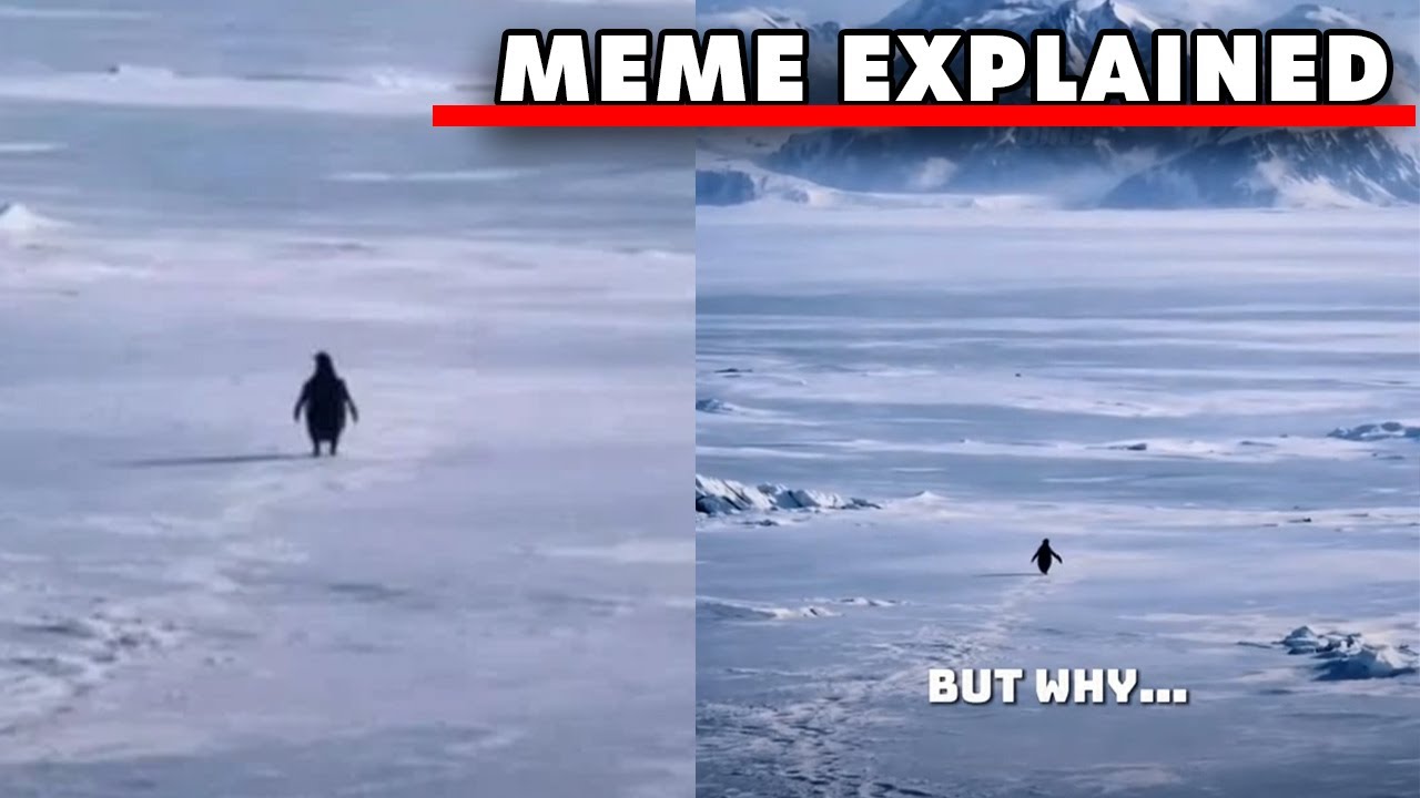 The “Nihilist Penguin” But Why? Meme Full Explanation