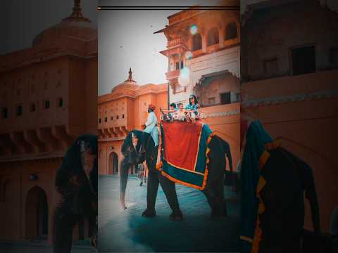 Language Diversity || National Language of India || Diversity in Culture || #shorts #india #language